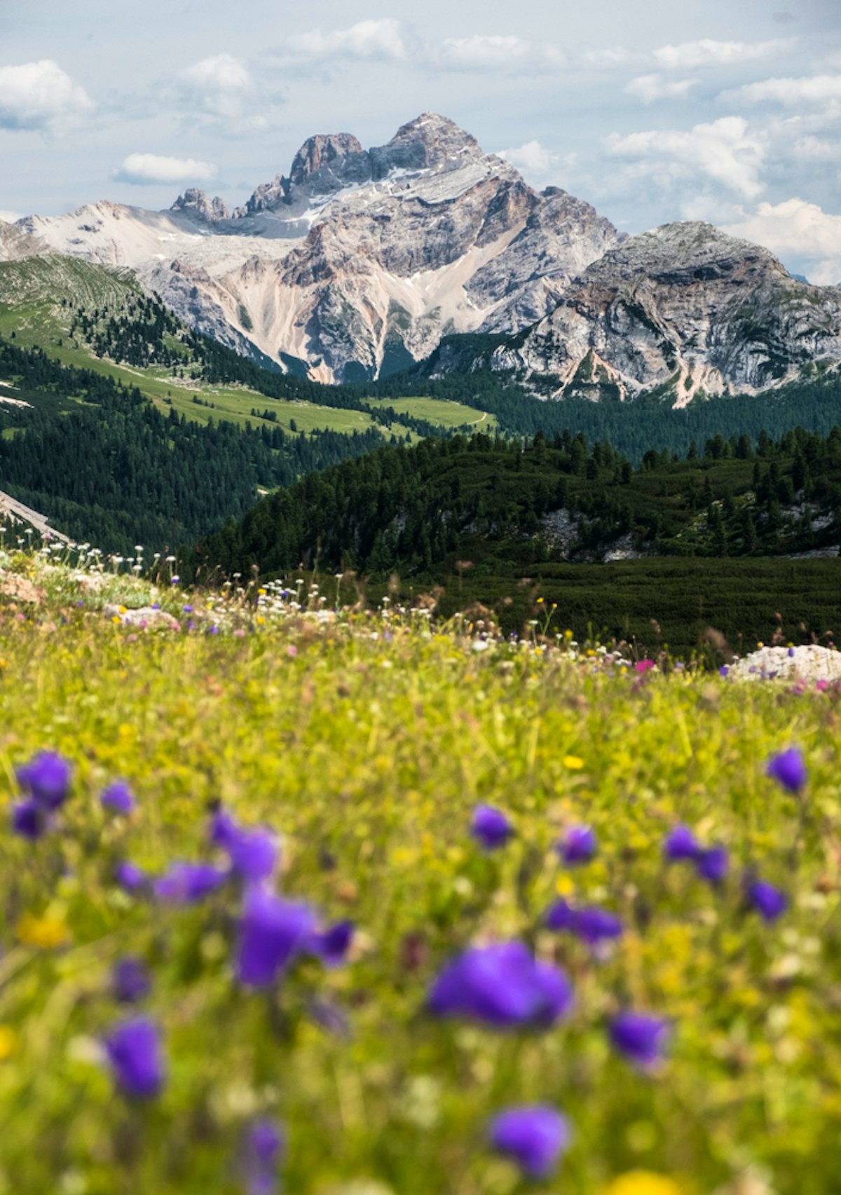 Vandra I Dolomiterna Spektakulära Vyer Från Alta Via